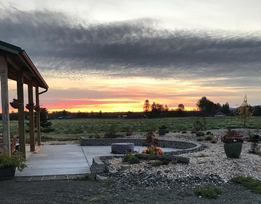 Home - Rain Shadow Lavender Farm
