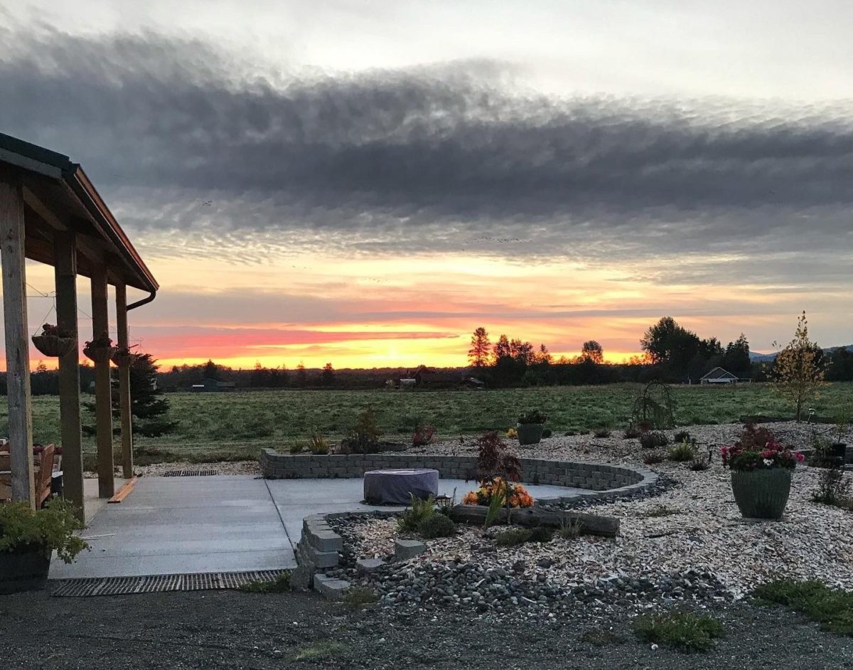 Home - Rain Shadow Lavender Farm